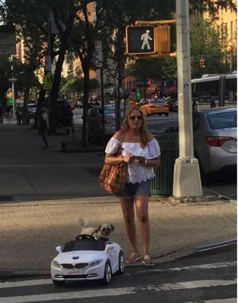 Funny Pic Dump 11 11 16