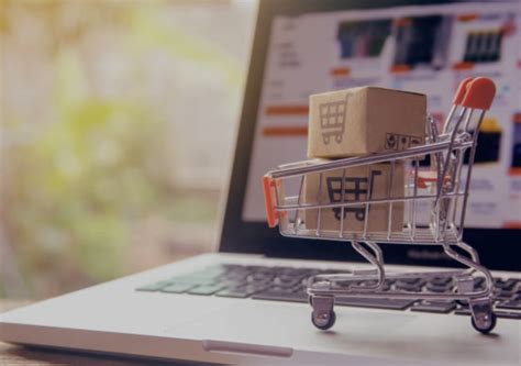 🌺 Пионы из семян — ваш будущий цветущий сад 🌿 Осень и конец лета — лучшее время для посадки