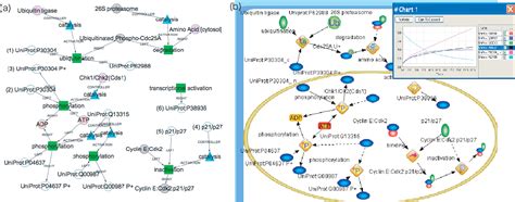 Figure 1 From A Converter From Biopax To Cso Semantic Scholar