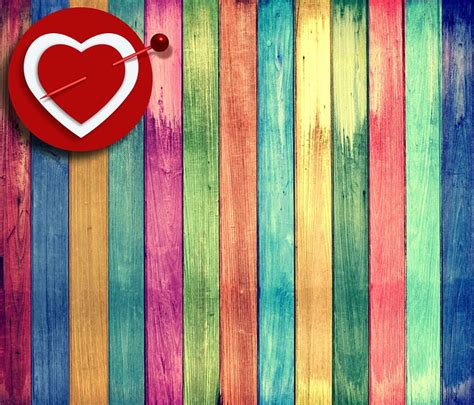 Adrienne Irvine Celebrations Gay And Lesbian Friendly Wedding Supplier