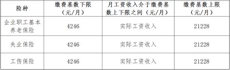 成都市养老保险缴费基数调整本月扣费金额有变 四川在线