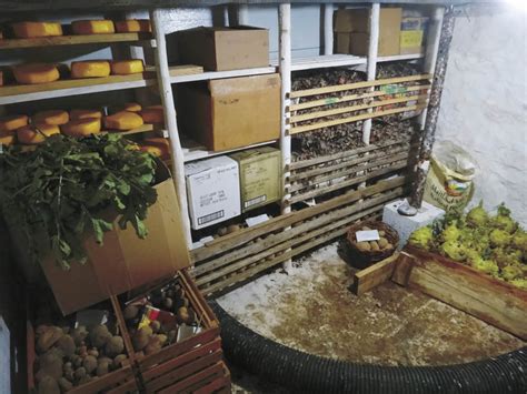 Consider The Roots Canadian Mennonite Magazine