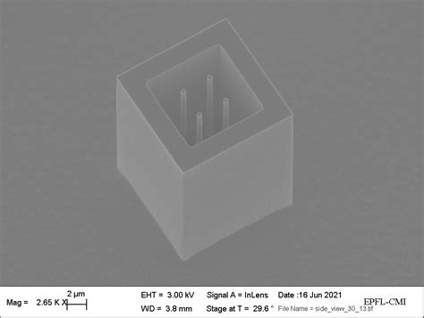 Spts Rapier ‒ Center Of Micronanotechnology Cmi ‐ Epfl