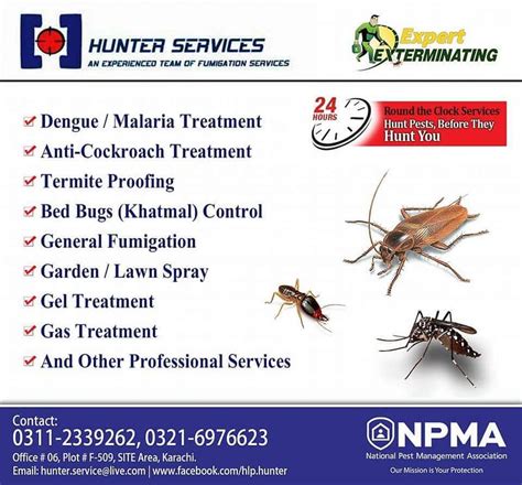 Termite Controlpest Control Fumigation Spray Deemak Control Dengue