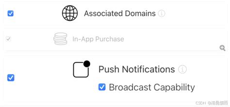 Uniapp 发布苹果ios详细流程，包括苹果开发者公司账号申请、ios证书、p12证书文件等uniapp Ios Csdn博客