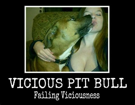Vicious Pit Bull