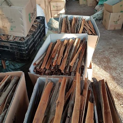 Split Cassia Spices Ingredients And Products By Ngoc Ha