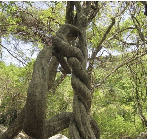 💌 No21 대한민국 갈등 끝내는 방법