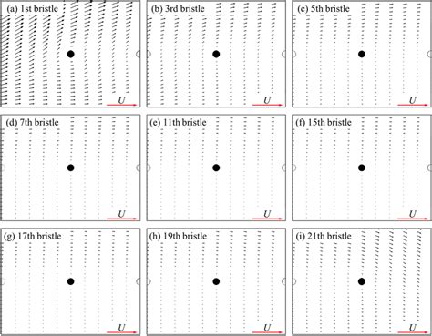 The Plot Of Non Dimensional Velocity Vector Around A The First B Download Scientific