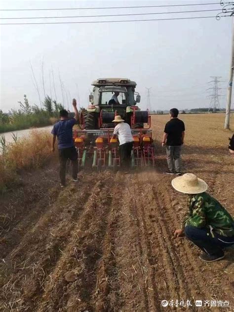 济南抗旱保夏种工作已基本结束全市已播种夏玉米348万余亩 水源 条件 黄河