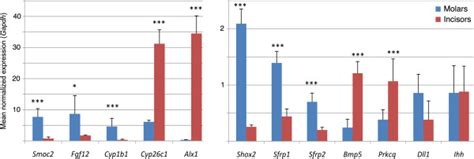 Real Time Quantitative Rt Pcr Analysis Of Genes Selected For Their