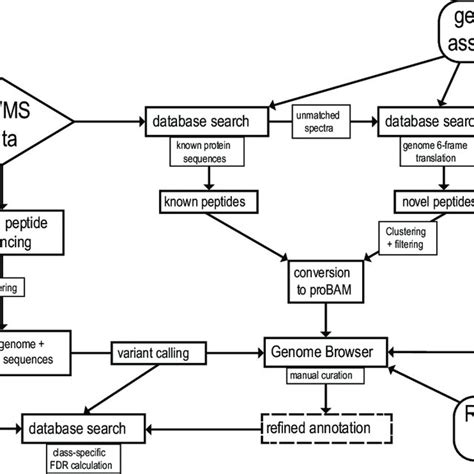 Schematic Representation Of The Data Analysis Pipeline Generated Ms Ms Download Scientific