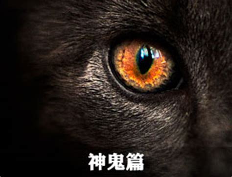 解梦大全 探寻梦境密码 新浪星座 新浪网