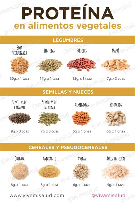 Alimentos Ricos En Proteína Vegetal Artofit
