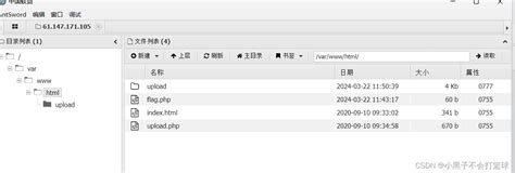 Ctf之wzsc文件上传wzsc新手教程 Csdn博客