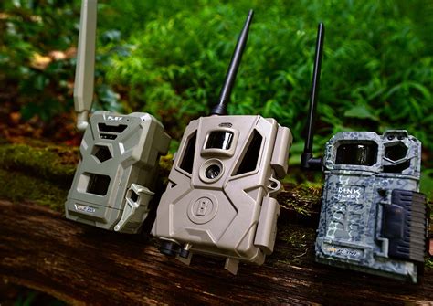 Best Budget Trail Cameras Tested Outdoor Life