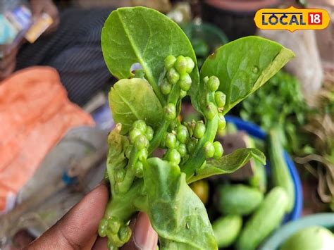 Pui Sak পুঁই শাককে জাতের খাবার ভাবেন না তার আবার বীজ গুণ জানলে