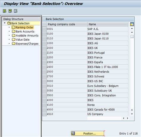 Automatic Payment Program Run F110 Sap Tutorial