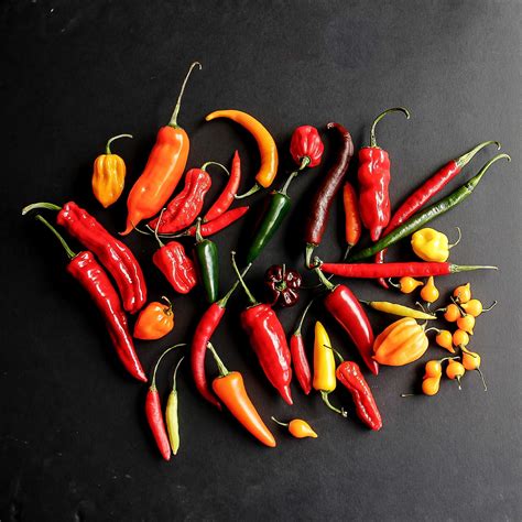 About Chilli Peppers And Homemade Roasted Chilli Sauce Recipe Hot And