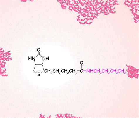 Chemistry Food Chemistry Enzyme Action