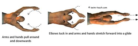 Improve Your Breaststroke Swimming Technique Today