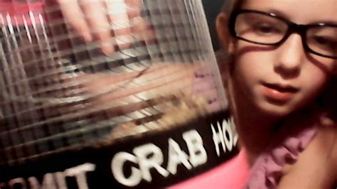 My New Hermit Crab Youtube