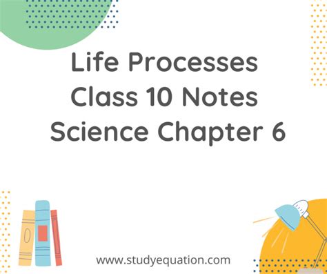Life Processes Class Notes Science Chapter Study Equation