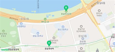 잠실 한강공원 피크닉 셋트 대여 해 드립니다 돗자리 바구니 튤립 등 8종 네이버 블로그
