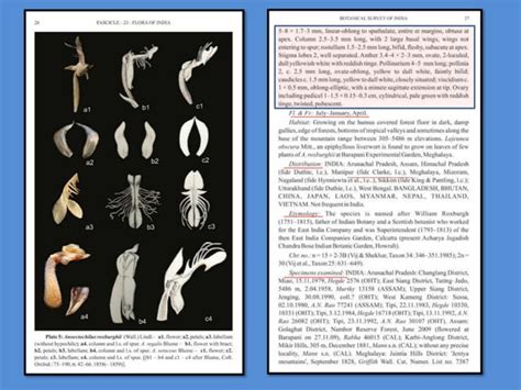 Flora Revision And Monograph Ppt Biological Sciences Science
