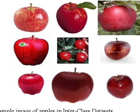 figure 1 from fruit detection and recognition using faster r cnn with