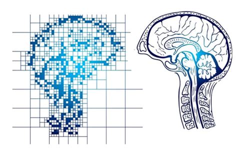 Llms More Similar To The Human Brain Than We Thought Ai ‘close To Human Proficiency