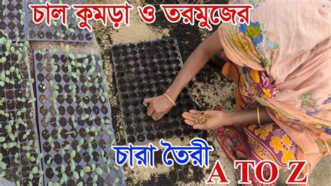 কোকোপিটে তরমুজ ও চাল কুমড়া রোগমুক্ত চারা তৈরী।। A To Z Youtube