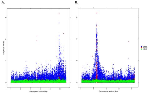 The Log 10 P Values Of Single Snp Regressions Blue And Snp