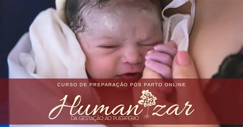 Humanizar Curso De PreparaÇÃo PÓs Parto Sympla