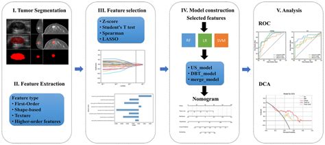 Workflow Of Predicting The Ki 67 Level Based On Radiomics Download