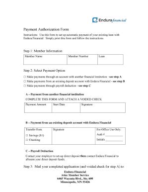 Fillable Online Payment Authorization Formweb Doc Fax Email Print PdfFiller