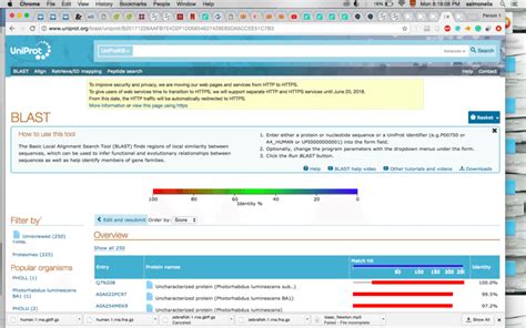 NCBI Reference Sequence And Uniprot Gene Names ResearchGate