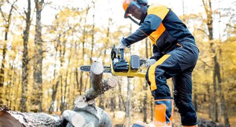 Safety Tips For Working In The Logging Industry