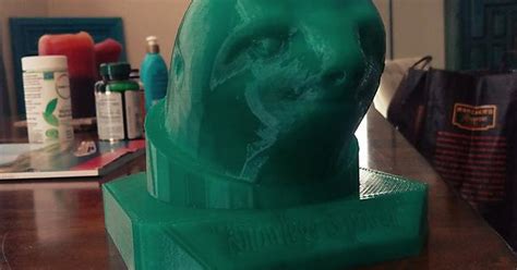 Life Size Sloth Head Imgur