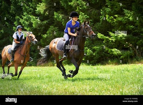 Ragazza Che Cavalca Un Cavaliere Al Galoppo Immagini E Fotografie Stock Ad Alta Risoluzione Alamy