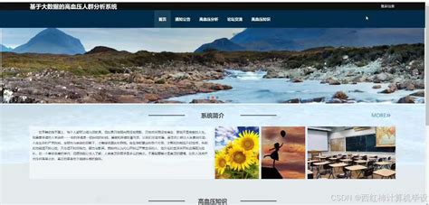 基于大数据python 高血压人群数据分析可视化系统源码lw部署讲解数据库ppt Csdn博客