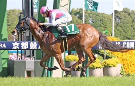 【葵s】伏兵ピューロマジックが鮮やか逃げ切り重賞初制覇 3連単は36万円超の波乱 競馬ニュース Netkeiba