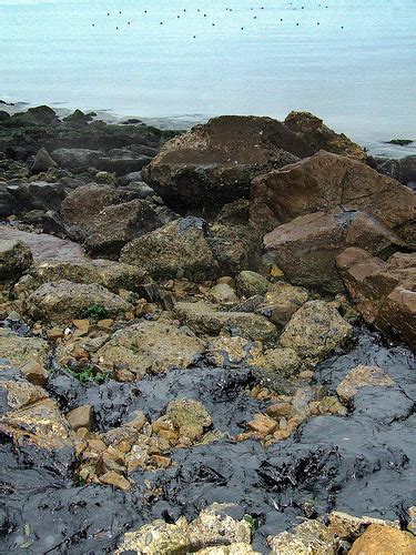 Marine Pollution