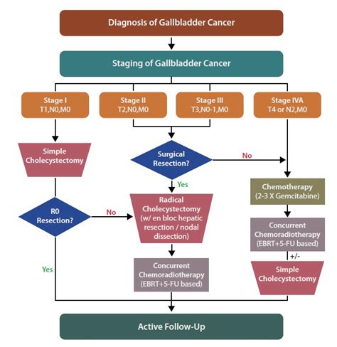 담낭암 Gall Bladder Cancer Hear•ti 하티