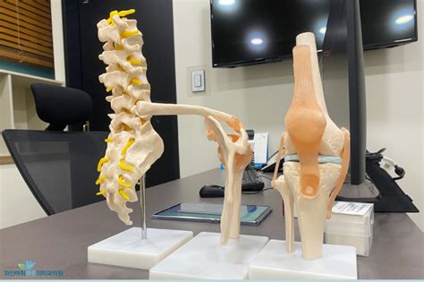 인계동정형외과 어깨 통증 해결하는 비수술 치료법 네이버 블로그