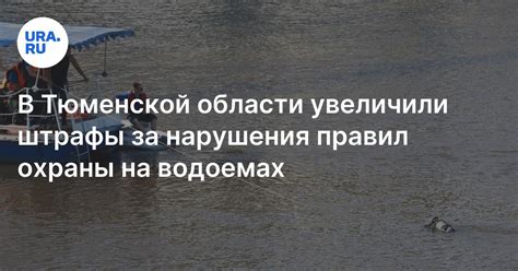 В Тюменской области увеличили штрафы за нарушения правил охраны на водоемах