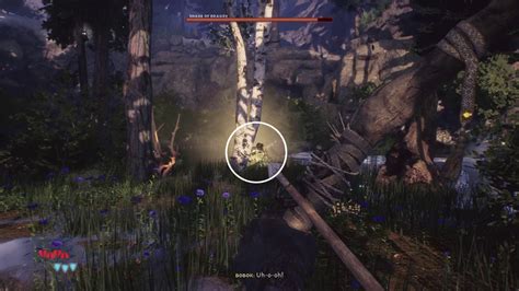 Hunting Shadows Blacktail Walkthrough Neoseeker