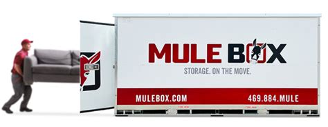 What Fit In A Mule Box