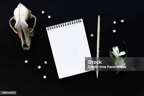마법의 신비한 분위기와 검은 배경에 문자 또는 이미지에 대한 흰색 노트북 종이 모형 템플릿 신비주의 비열한 마법 마술의 개념 0