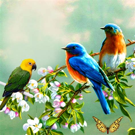 Emily50s Spring Frames Spring Natureemily50 Spring Natureemily50